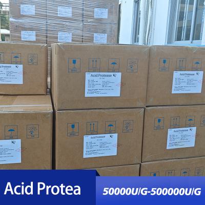 China Industrial acidic protease is used for leather softening and textile processing for sale