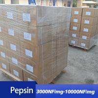 China pancreas pepsin use in industry of Pharmaceutical and Food Processing customized food grade&pharmaceutical grade for sale