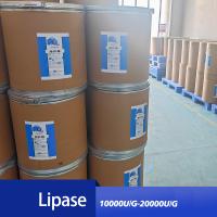 China lipase 10000U the enzyme that breaks down fats Applied to bread and sweet essence for sale