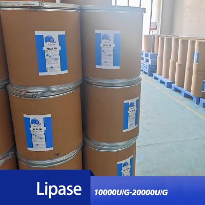 China lipase 10000U the enzyme that breaks down fats Applied to bread and sweet essence for sale