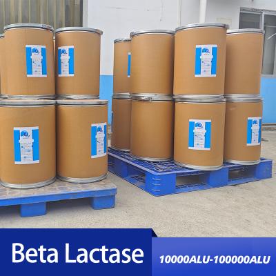 China β-lactase is used in the processing of milk and dairy products
﻿ for sale