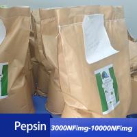 China pepsin in stomach use in industry of Pharmaceutical and Food Processing Enzyme preparation sample testing for sale
