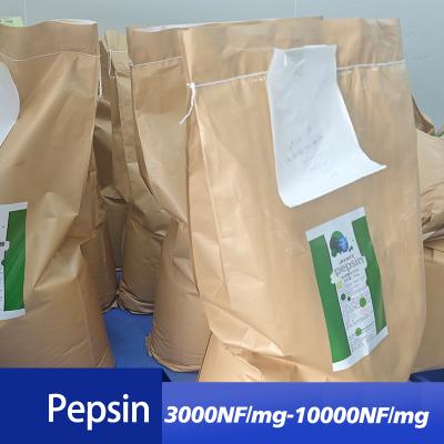 China pepsin in stomach use in industry of Pharmaceutical and Food Processing Enzyme preparation sample testing for sale
