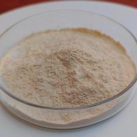 China glucoamylase use in industry of Food and starch sugar Enzyme preparation sample testing for sale