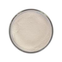 China Fungal Alpha Amylase enzyme baking use in  Bread baking Customizing enzyme activity specifications for sale