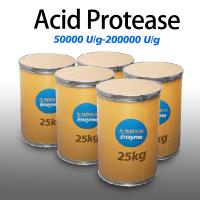 China Feed Grade Acid Protease Enzyme Powder Customized enzyme preparation activity for sale