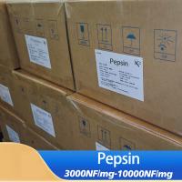 China Gastric acid pepsin Powder 3000NF/Mg For Health Product Production for sale
