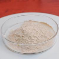 China Gastric acid pepsin Powder 3000NF/Mg For Health Product Production for sale