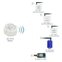 China 915MHZ 868MHZ 433MHZ Wireless Freezer Temperature Monitoring Smart Digital Iot Temperature Sensor for sale