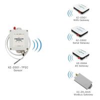 China Battery Replaceable Wireless Temperature Transmitter PT100  Lora Temperature Sensor for sale