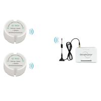 China Hygrometer Temperature and Humidity Monitor Iot Wireless Room Temperature and Humidity Device for sale