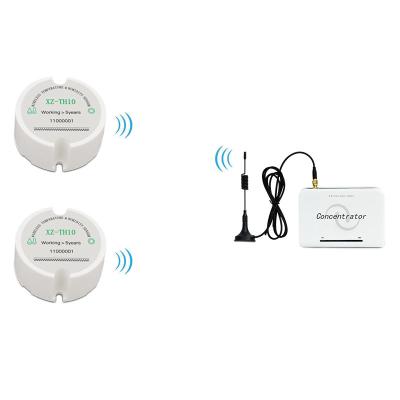 China Hygrometer Temperature and Humidity Monitor Iot Wireless Room Temperature and Humidity Device for sale
