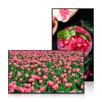 China 43 Inch Indoor Advertising Screen Lcd Media Player Video Digital Signage Screen Wall Mount Displays for sale