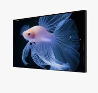 China 2026 MJK 18.5 Inch LCD Digital Price Display with Text CMS Indoor Supermarket Anti-tampering Solution 1 Year Warranty for sale