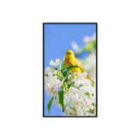 China 32 Inch Indoor Wall-Mounted Advertising Smart Building All-in-One HD Multimedia Animation Player OEM Graphics 1 Year Built-In for sale