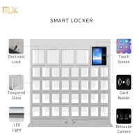 China Smart Electronic Lock Parcel Locker with Windows Android OS Assembled Structure 18 Compartments for Security Storage for sale