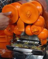 China Fruit Extracting Orange Juicer  Machine / Lemon Juicing Machine for sale
