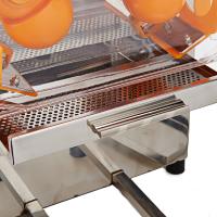 China Lemon Juice Extractor Commercial Orange Juice Machine High Yield 2000E-2 for sale