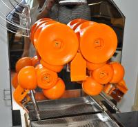 China High Output Automatic Orange Juicer Extractor With Auto Feed Hopper for sale