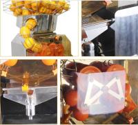 China 110V - 220V Automatic Orange Juicer Machine / Cold Pressed jJuicer Machine for sale