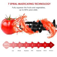 China Electric Fruit Professional Slow Juicer Residue Juice Separation Large Caliber Juicer Household Automatic for sale