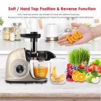 China Fruit  Vegetable Screw Cold Press Masticating Juice Extractor Filter Free Electric for sale