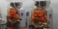 China Durable Commercial Automatic Orange Juicer Machine / Economic Squeeze Machines for sale