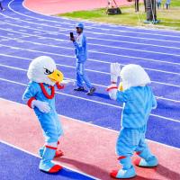 China Non Toxic Anti Aging Wear Resistant Sandwich System Running Track for Professional Athletic Use for sale