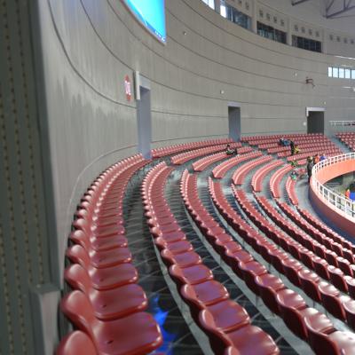 China Outdoor VIP HDPE Plastic Stadium Seating with 5 Years Warranty and Customized Colors for sale