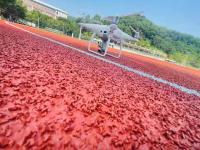 China 400m Athletic Running Tracks With Weather Resistance Low Maintenance for sale
