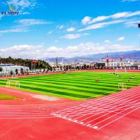 China Full Pour Speed Running Track For Sports Ground Stadium Jogging Park Within Full-pour Installation Method for sale