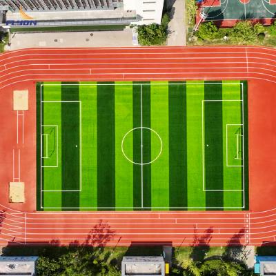 China Textured Surface All Weather Resistant Athletic Running Track with 10 Years Warranty for Professional Sports Facilities for sale