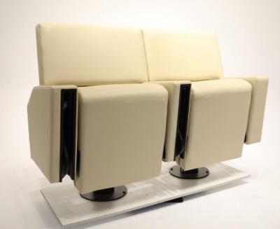 China Ergonomic Luxury Comfortable Auditorium Seating With Aisle Panels For Auditoriums And Cinemas for sale