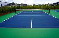China Portable Anti-Slip Durable Pickleball Court Mat and Roll for Professional Play for sale