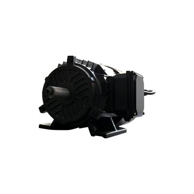 China B Insulation Grade 3 Phase PMSM 15kW Permanent Magnet Synchronous Motor 380V for sale