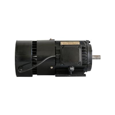 China Permanent Magnet Synchronous Motor 0.75kW 380V High Efficiency 1500-3000rpm Three Phase for sale
