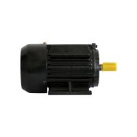 China Energy Saving Magnetic Driven Motor Insulation Grade B Industrial for sale