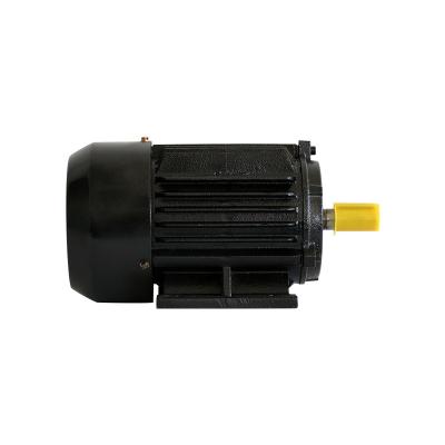 China Rare Earth Permanent Magnet Synchronous Motor 100-200Hz 380V 0.75-15kW B3/B35 for sale