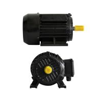 China B3 / B35 Installation Magnet Driven Motor Permanent Magnet Synchronous Machines for sale