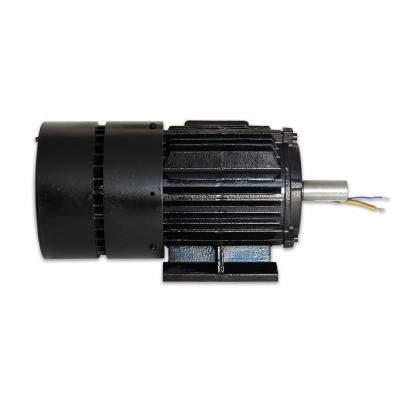 China Rare Earth Permanent Magnet Motor 0.75-15kW 1500-3000rpm 380V B3/B35 Industrial for sale