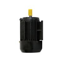 China Permanent Magnet AC Motor 0.75-15kW 380V S1 B3/B35 for Industrial Applications for sale