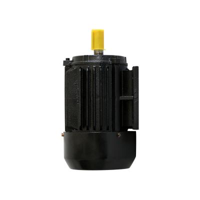 China Permanent Magnet AC Motor 0.75-15kW 380V S1 B3/B35 for Industrial Applications for sale