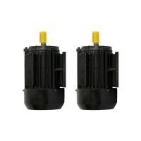 China Rare Earth Permanent Magnet Motor 1500-3000rpm 380V 0.75-15kW High Efficiency for sale