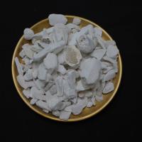 China Professional Calcined Bone Ash Predominantly Tricalcium Phosphate Fine Particle Consistency for sale