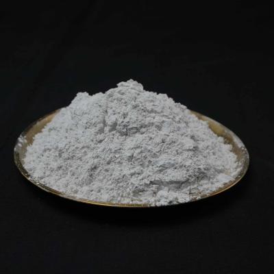 China PH 7-8 Hydroxyapatite Powder Bulk Ca10(PO4)6(OH)2 For Biomedical And Pharmaceutical for sale