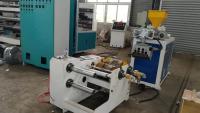 China Small model TL-200mm PP Cast Film Extrusion Line for sale
