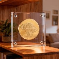 China Transparent Acrylic Display Case for Commemorative Coins, CNC High-Gloss Grooved Square Frame with Strong Magnets for Medals and Commemorative Coins for sale