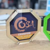 China Custom Creative UV Printed Acrylic Medals, Trophies, Plexiglass Transparent Desktop Ornaments & Display Gifts from Manufacturers for sale