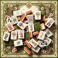 China Premium 4-Layer Acrylic American Mahjong Set — 160 Engraved Tiles, Luxury Crystal Clear Finish, Portable Game Night Gift. for sale