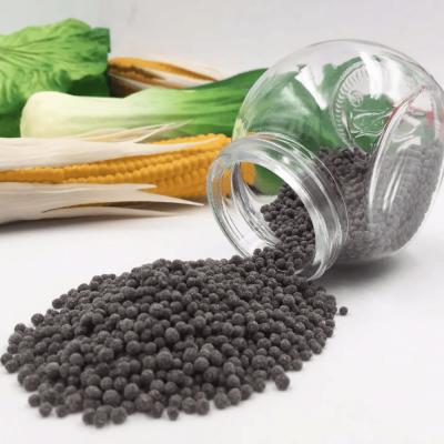 China NPK Compound Fertilizer 17-17-17 Granular Agriculture Grade for Fruits and Vegetables - 50kg Package for sale